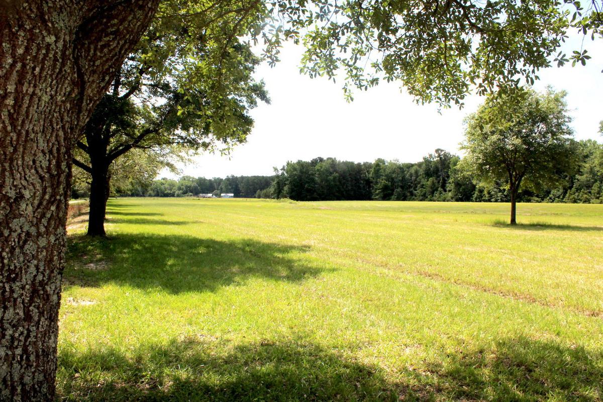 Thompson Farm at Brickyard Plantation readies for fall opening | News ...