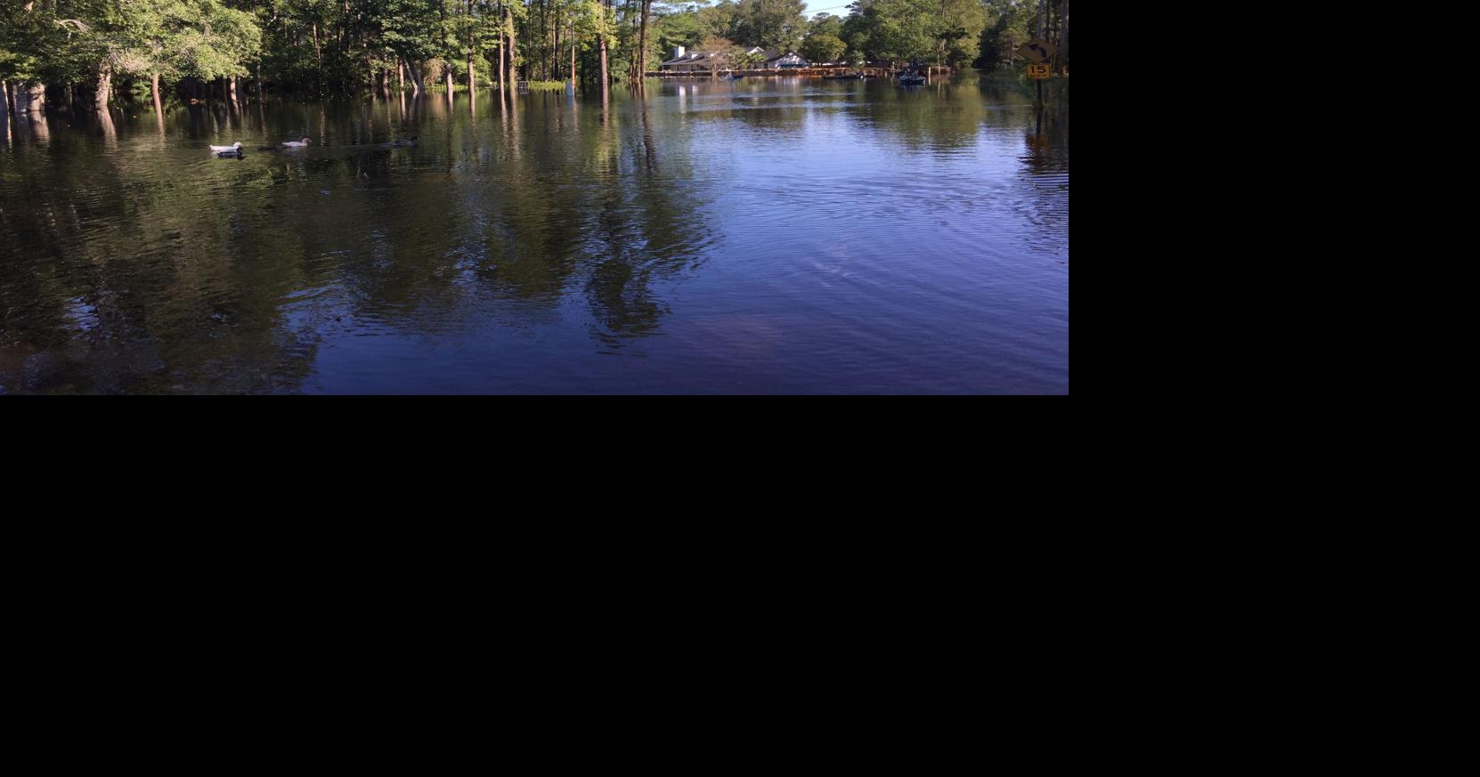 Conway area neighborhoods off SC 90 see flooding | Local News ...