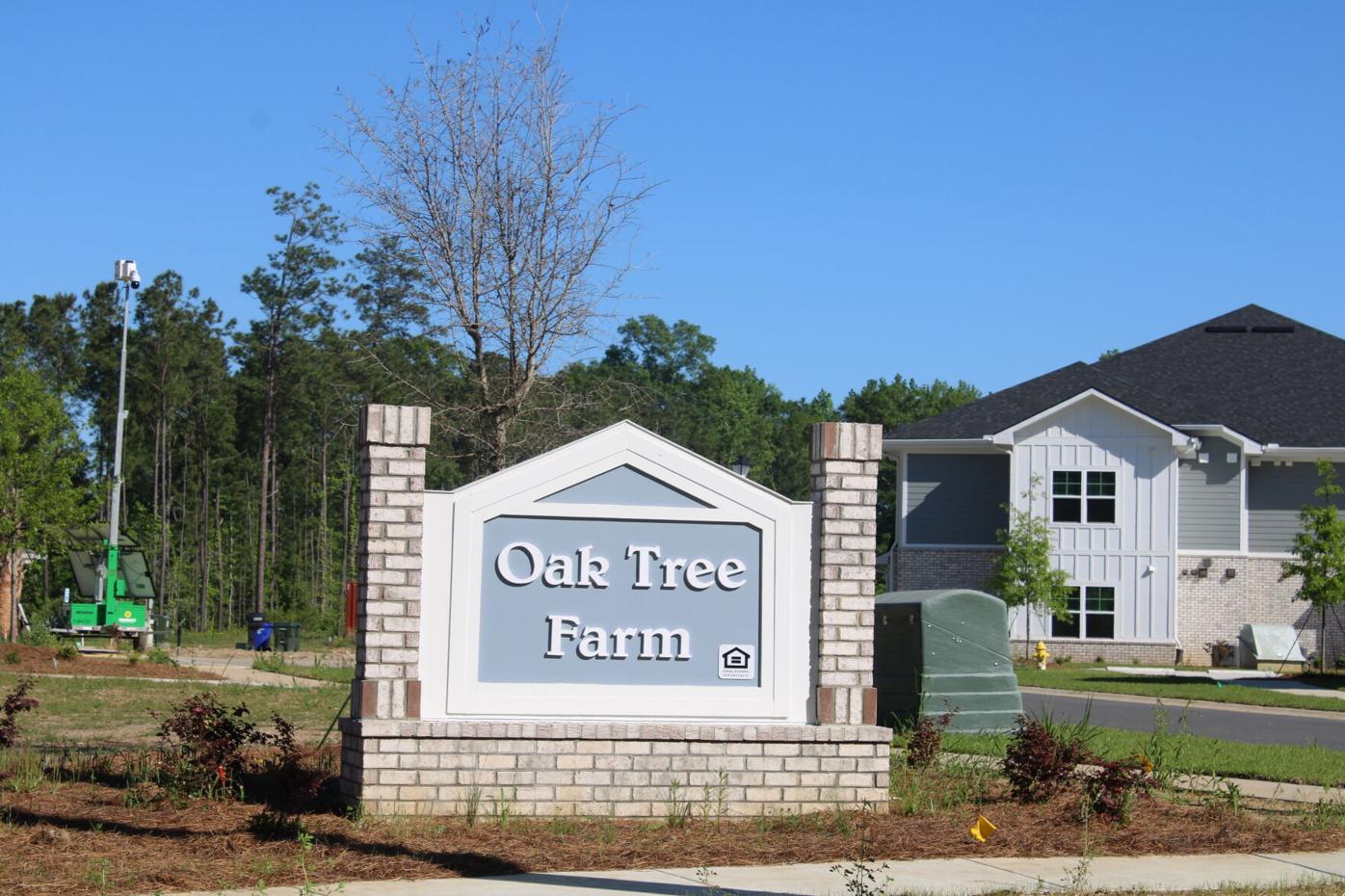 oak tree farm