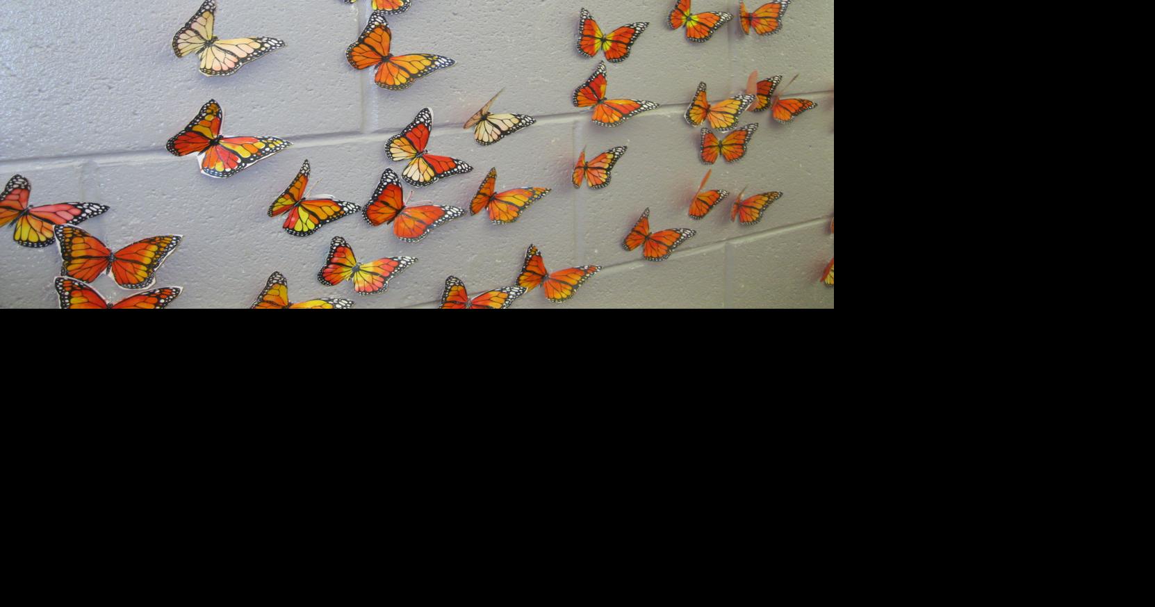 BWMS art projects teach students about butterflies, teach educators ...