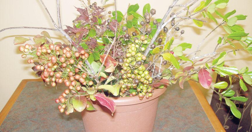 Loris Garden Club meets at Jones residence | Loris | myhorrynews.com