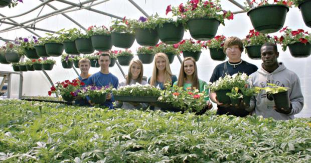 LHS FFA plant sale begins April 1 | Loris | myhorrynews.com