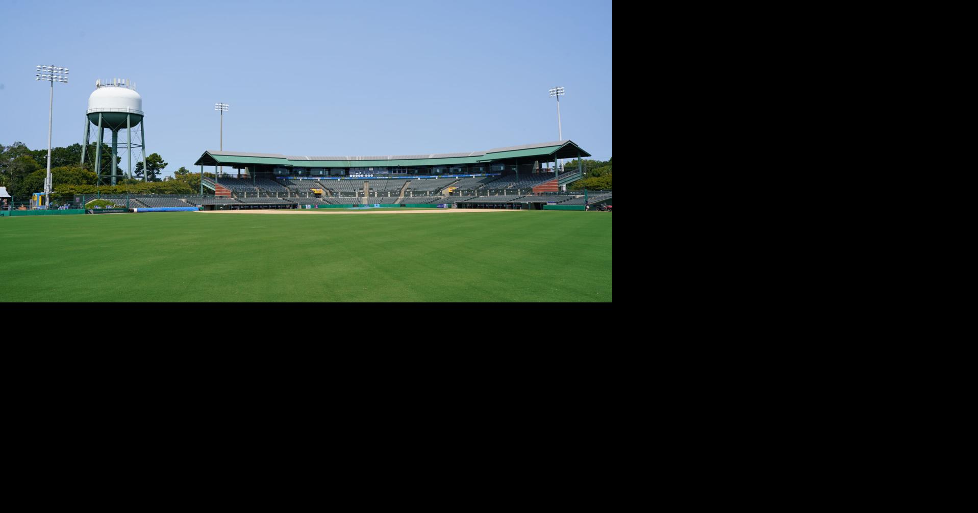 Check out the fun at a Pelicans baseball game | Visit | myhorrynews.com