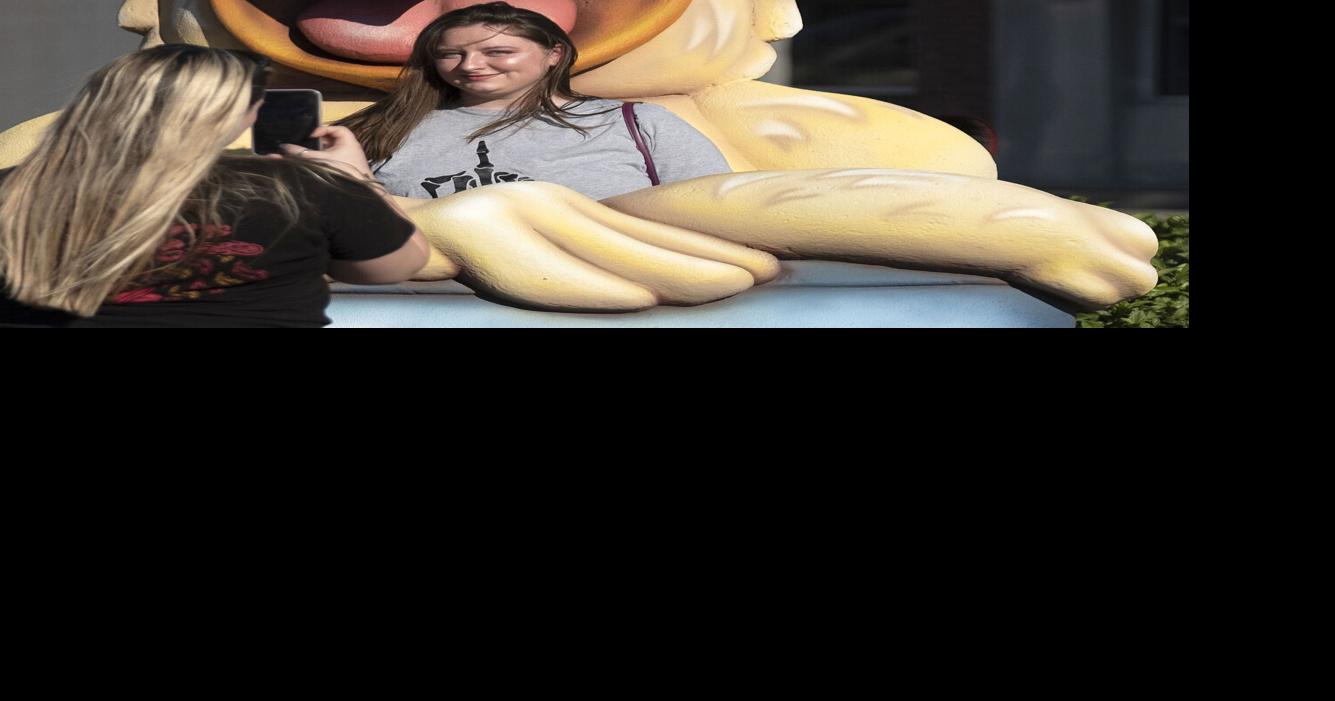 Loris Bog-Off 2022 | Gallery | myhorrynews.com