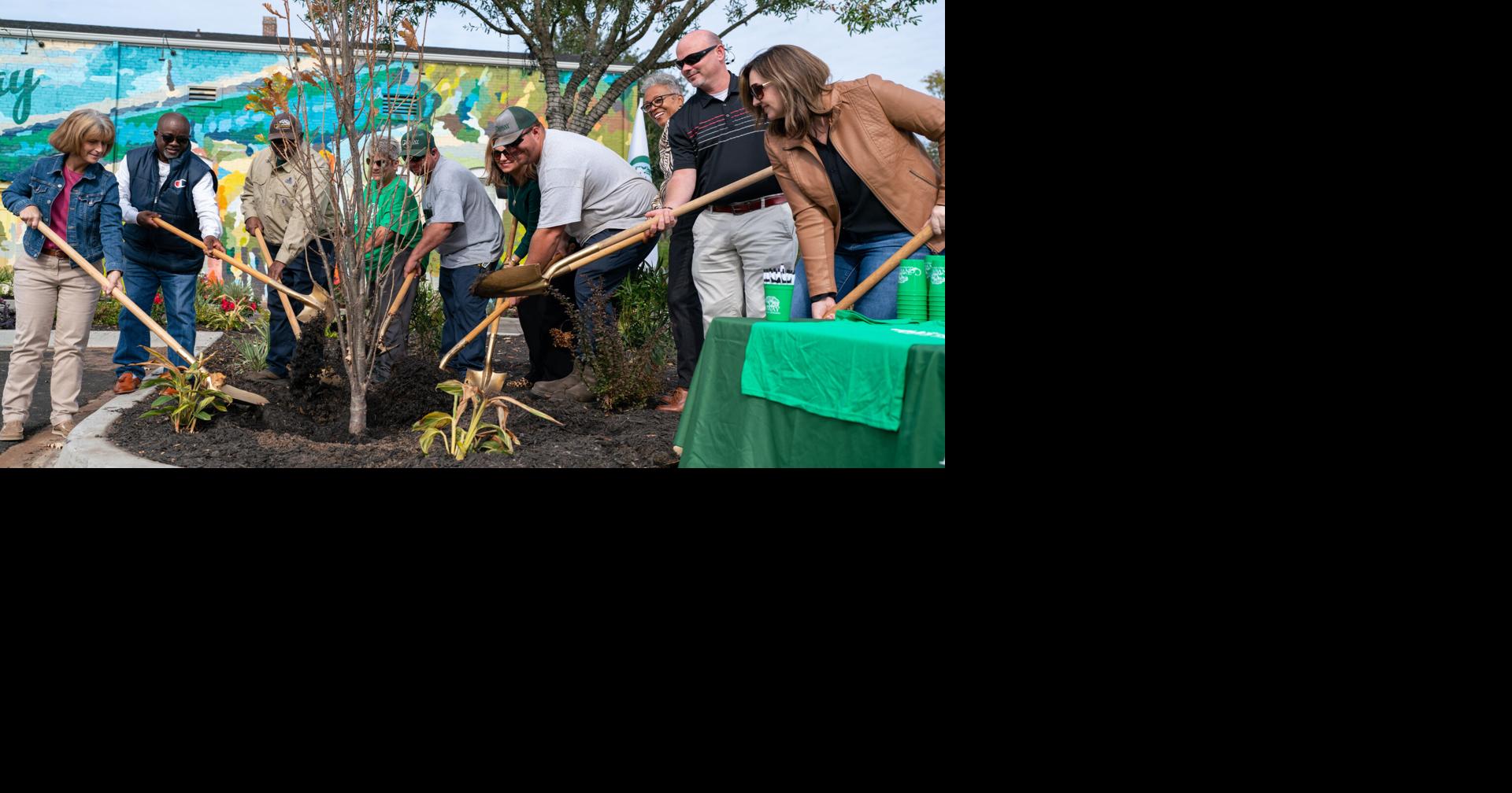 City of Conway plants trees in Scarborough Alley | Gallery ...