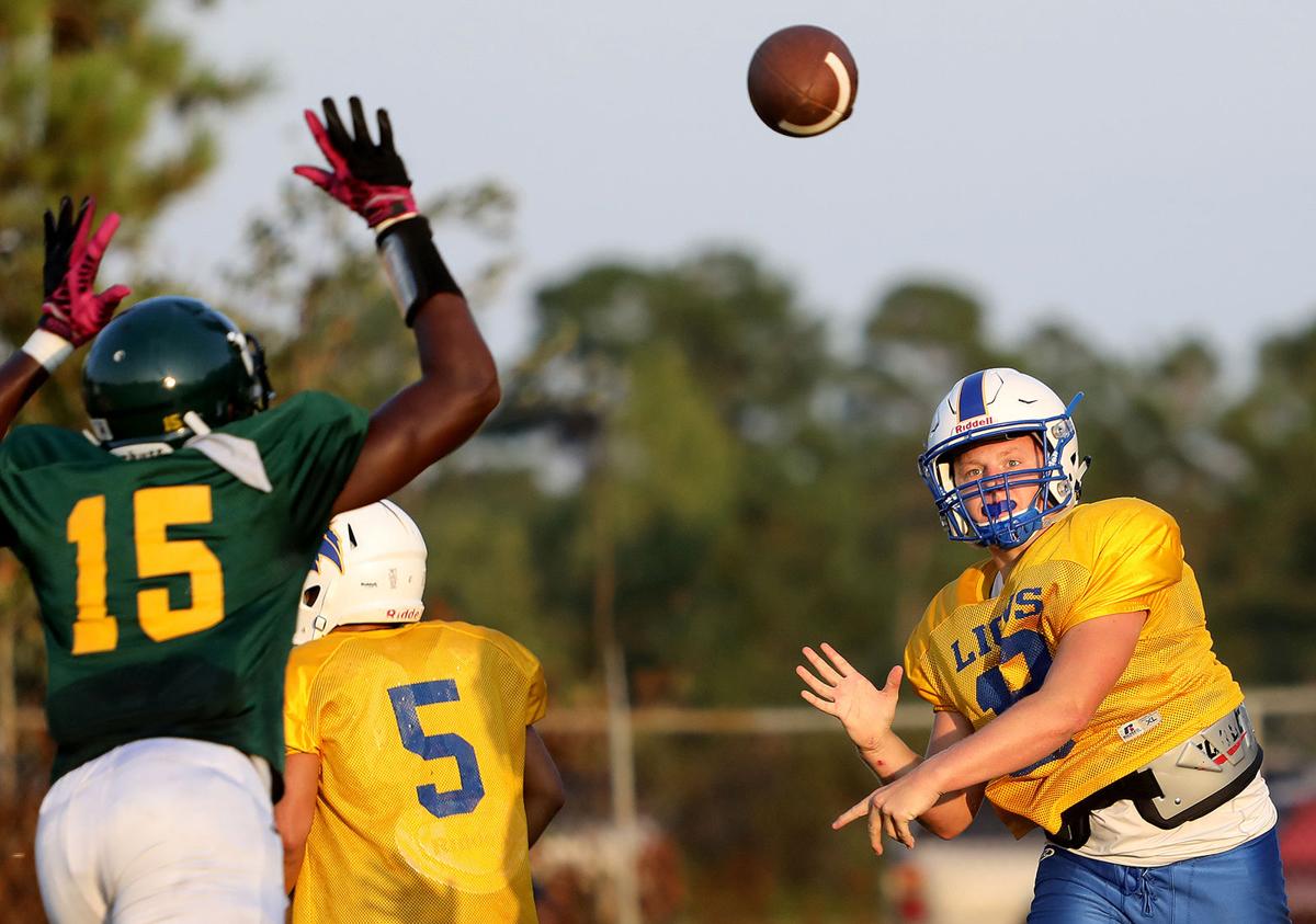 Loris Lions | Gallery | myhorrynews.com