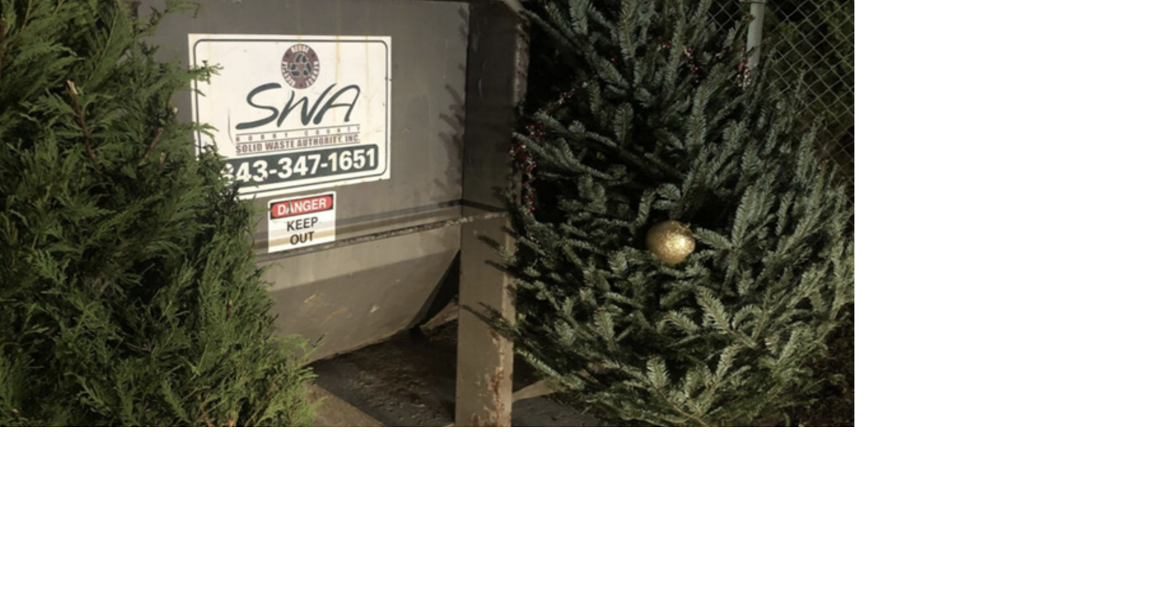 What to do with the Christmas tree in Horry SC | News | myhorrynews.com