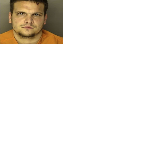 Nichols man given eight-year prison sentence after pleading guilty to ...