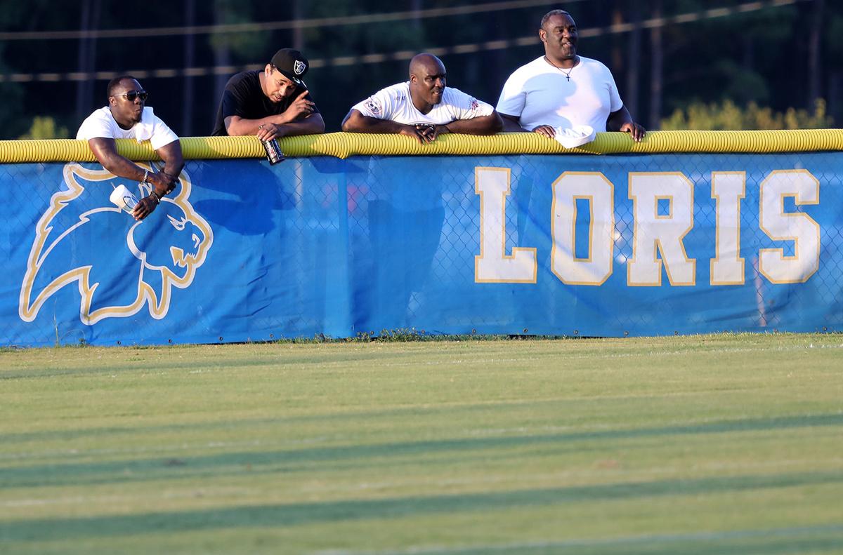 Loris Lions | Gallery | myhorrynews.com