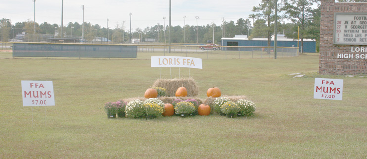 LHS FFA busy with field, flags and flowers | Loris | myhorrynews.com