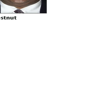 Michael Chestnut - Myrtle Beach City Council Candidate | Politics ...