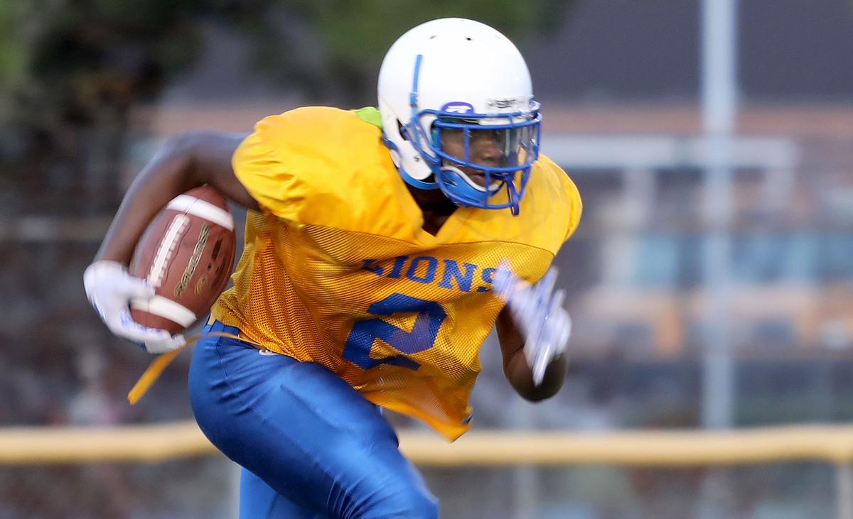 Loris Lions | Gallery | myhorrynews.com