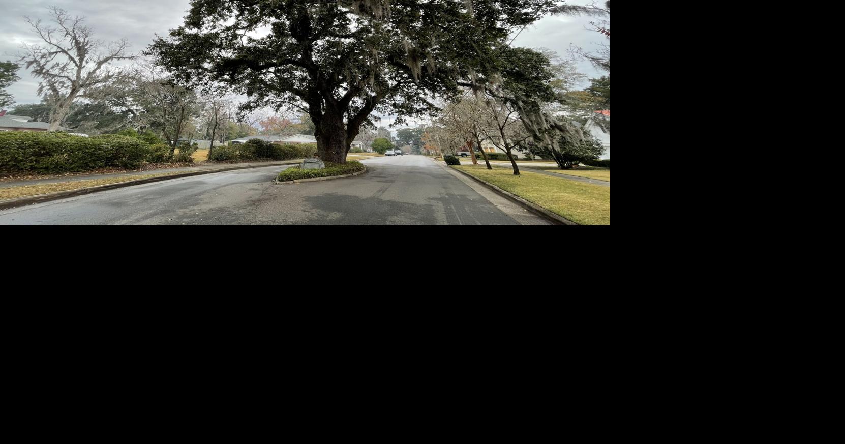 Changes to Conway's ordinance may allow public input about removing ...