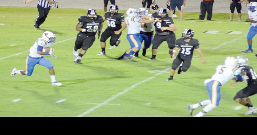 Loris Lions lose to South Columbus Stallions, 41-14 | Football ...