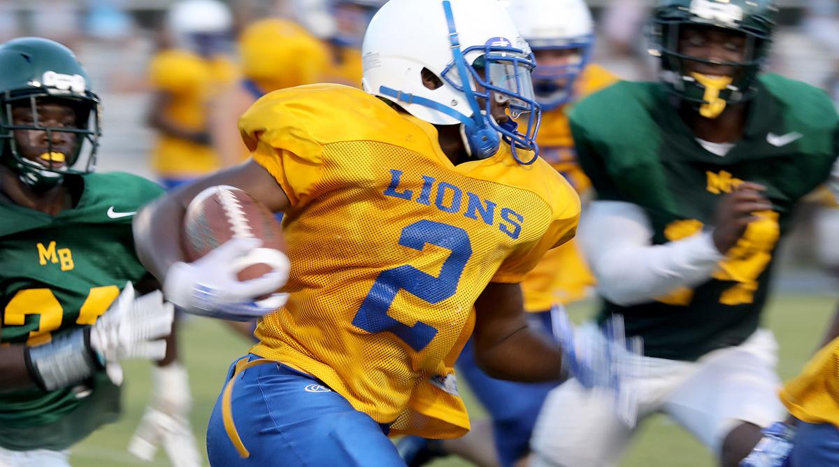 Loris Lions | Gallery | myhorrynews.com