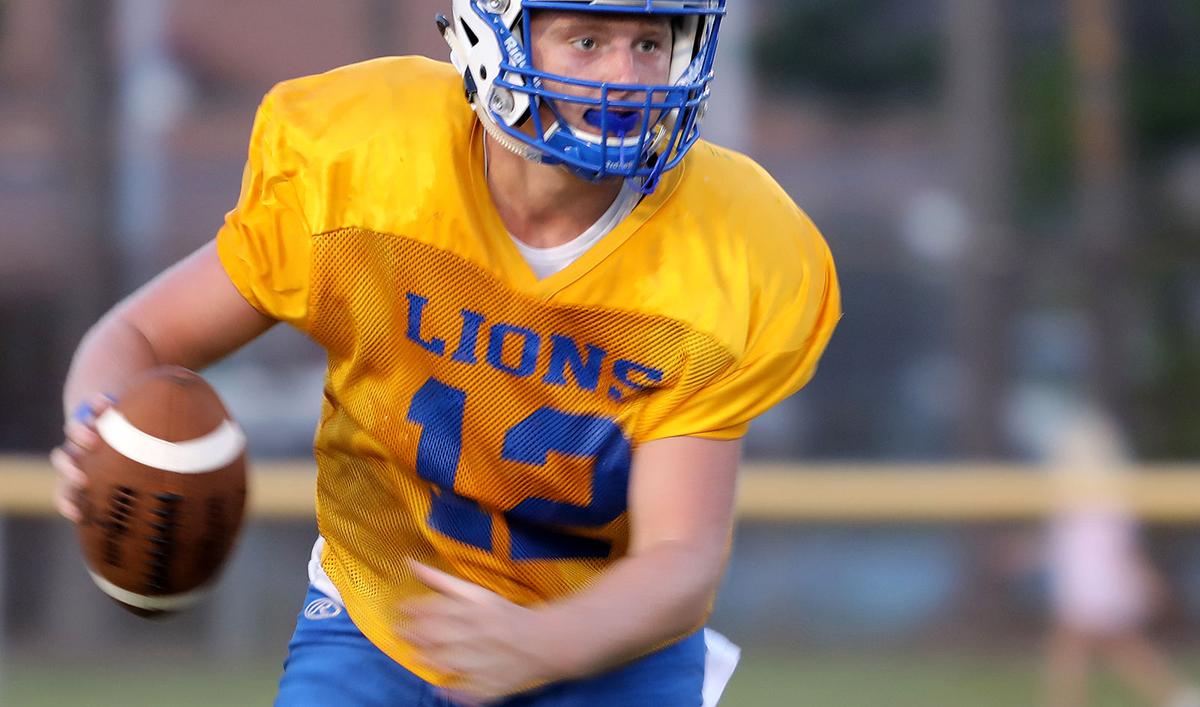 Loris Lions | Gallery | myhorrynews.com