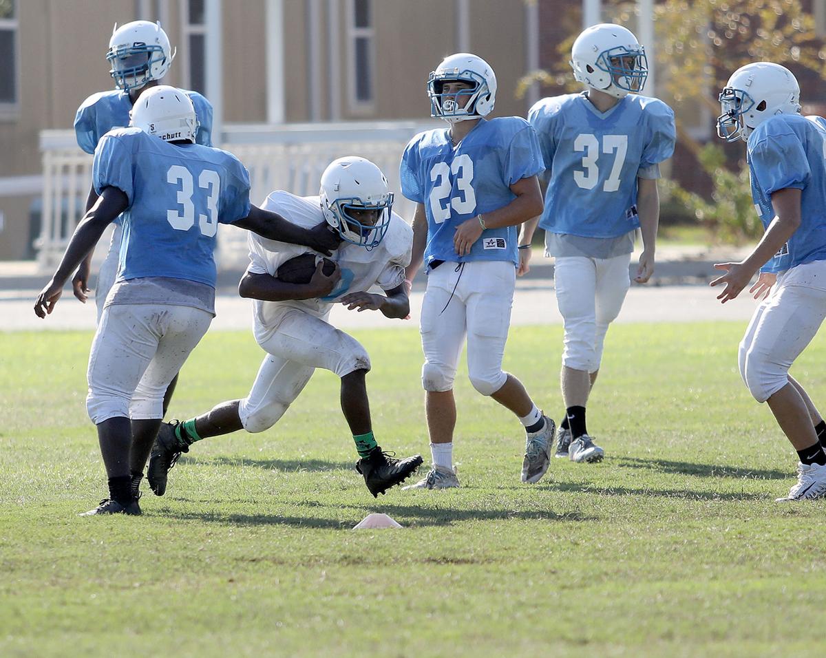 St. James Sharks | Gallery | myhorrynews.com