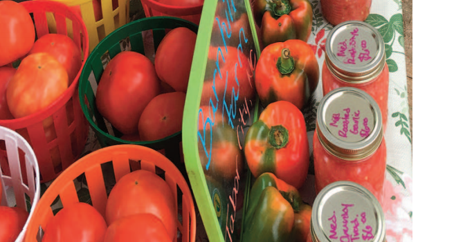 Shop for fresh produce at Little River Farmers Market | Visit ...