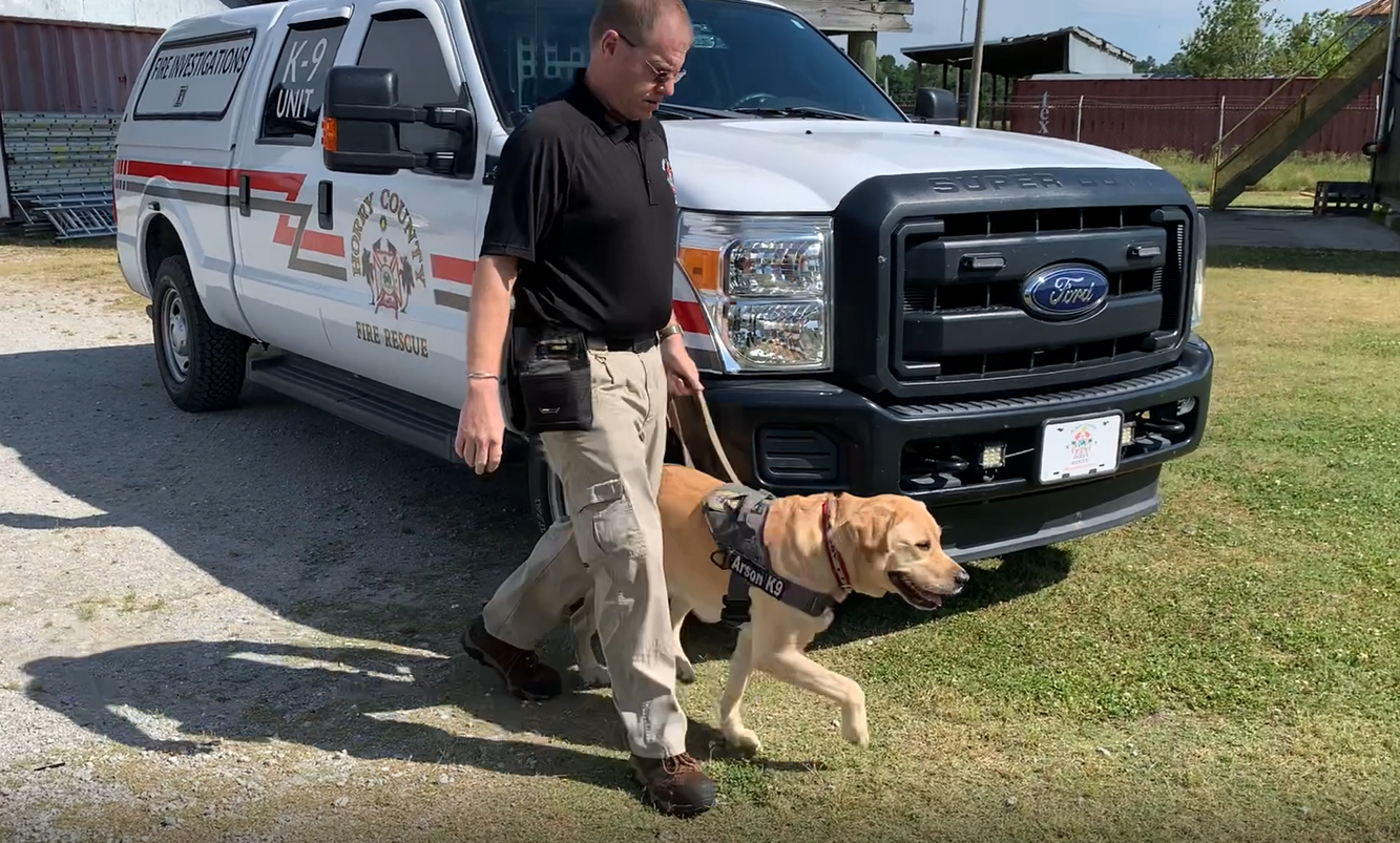 Another year of fire investigations: Horry County arson K9 passes ...