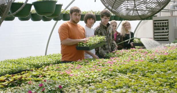 FFA plant sale ready to bloom | Loris | myhorrynews.com