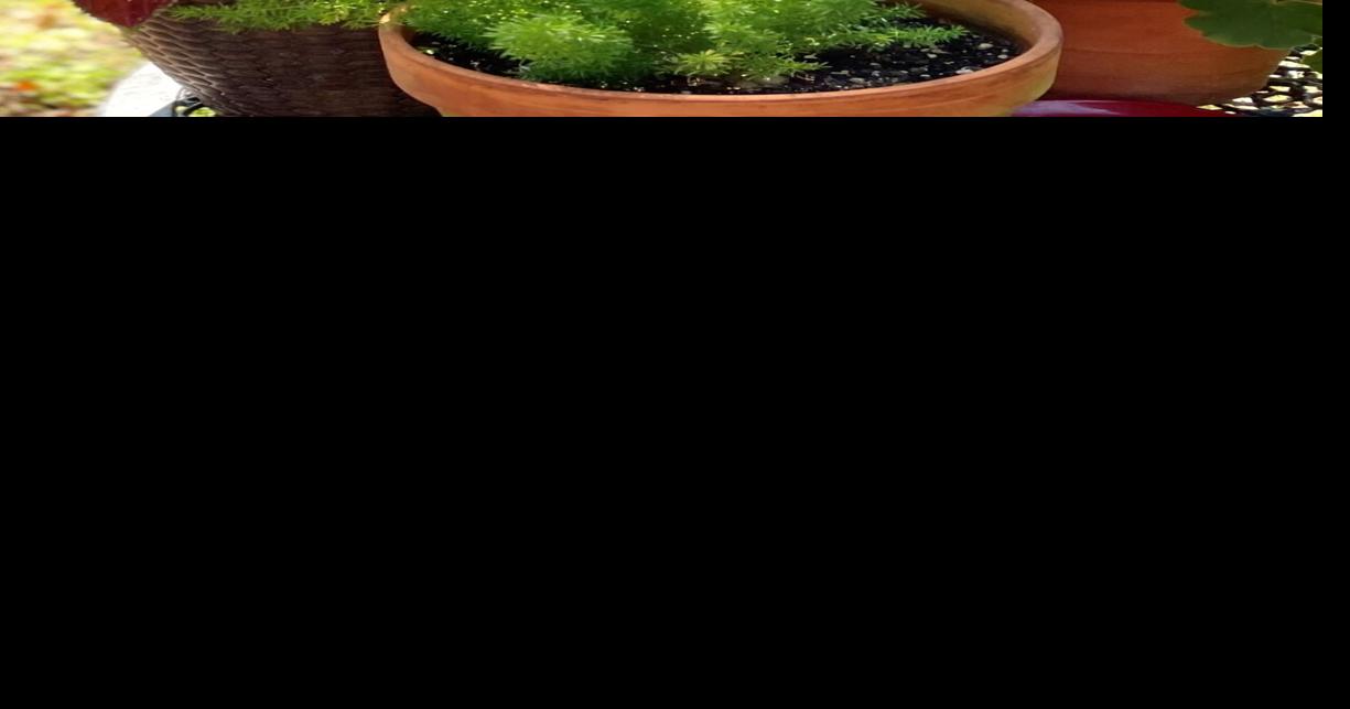 Crystal Delin Causey enjoyed listening to her favorite Christian tunes ...