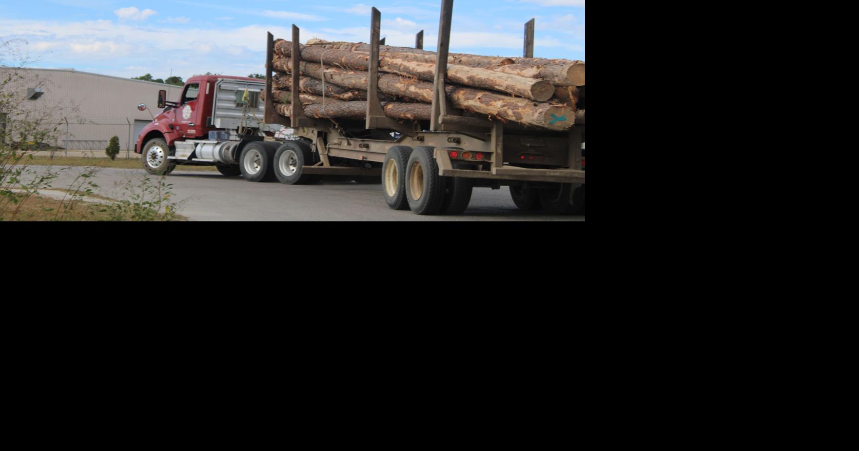 Timber! New sawmill coming to Galivants Ferry | News | myhorrynews.com