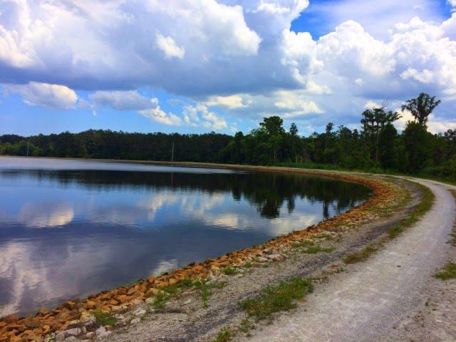 UPDATE: Santee Cooper speeds up demise of Lake Busbee | Conway ...