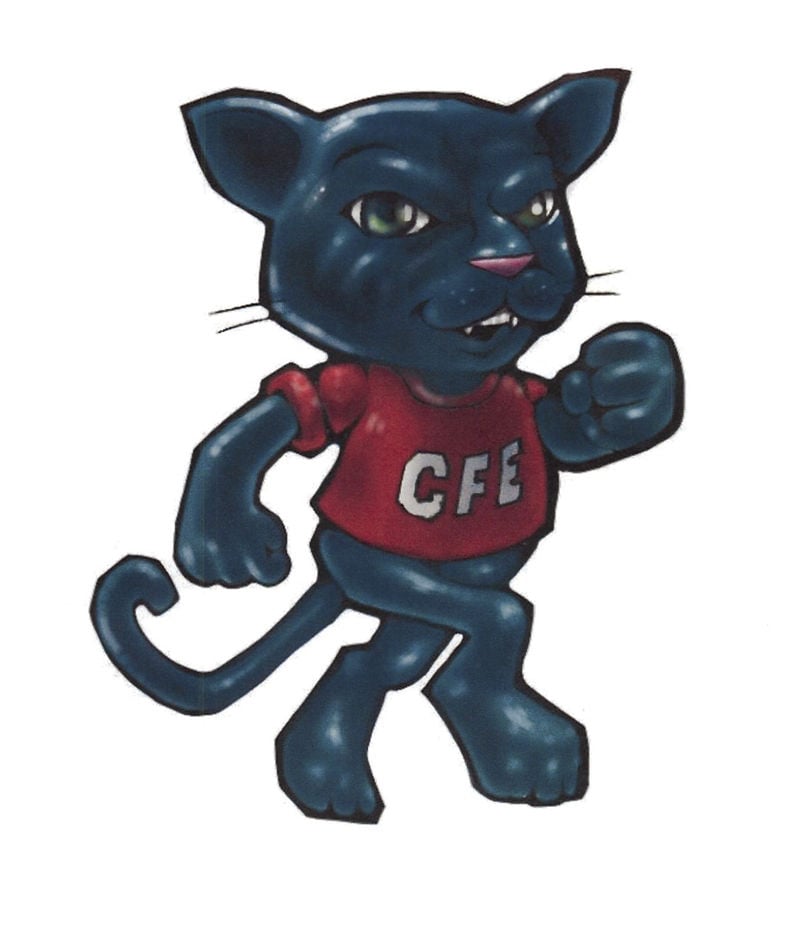 Carolina Forest area schools mull mascot change | Education ...