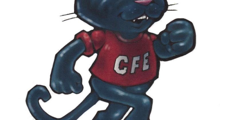 Carolina Forest area schools mull mascot change | Education ...