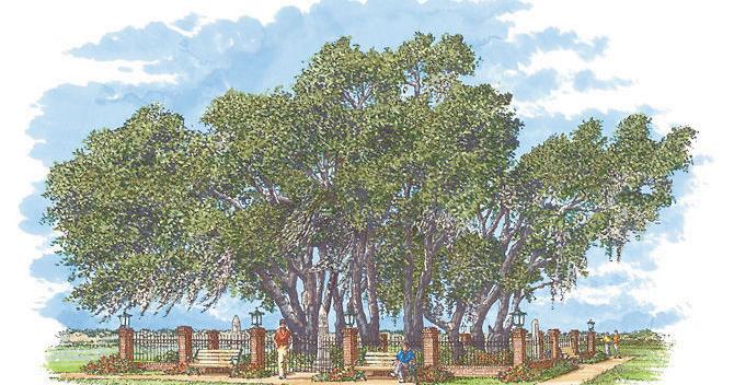 Construction of Huger Park in Carolina Forest to begin in late 2015 ...