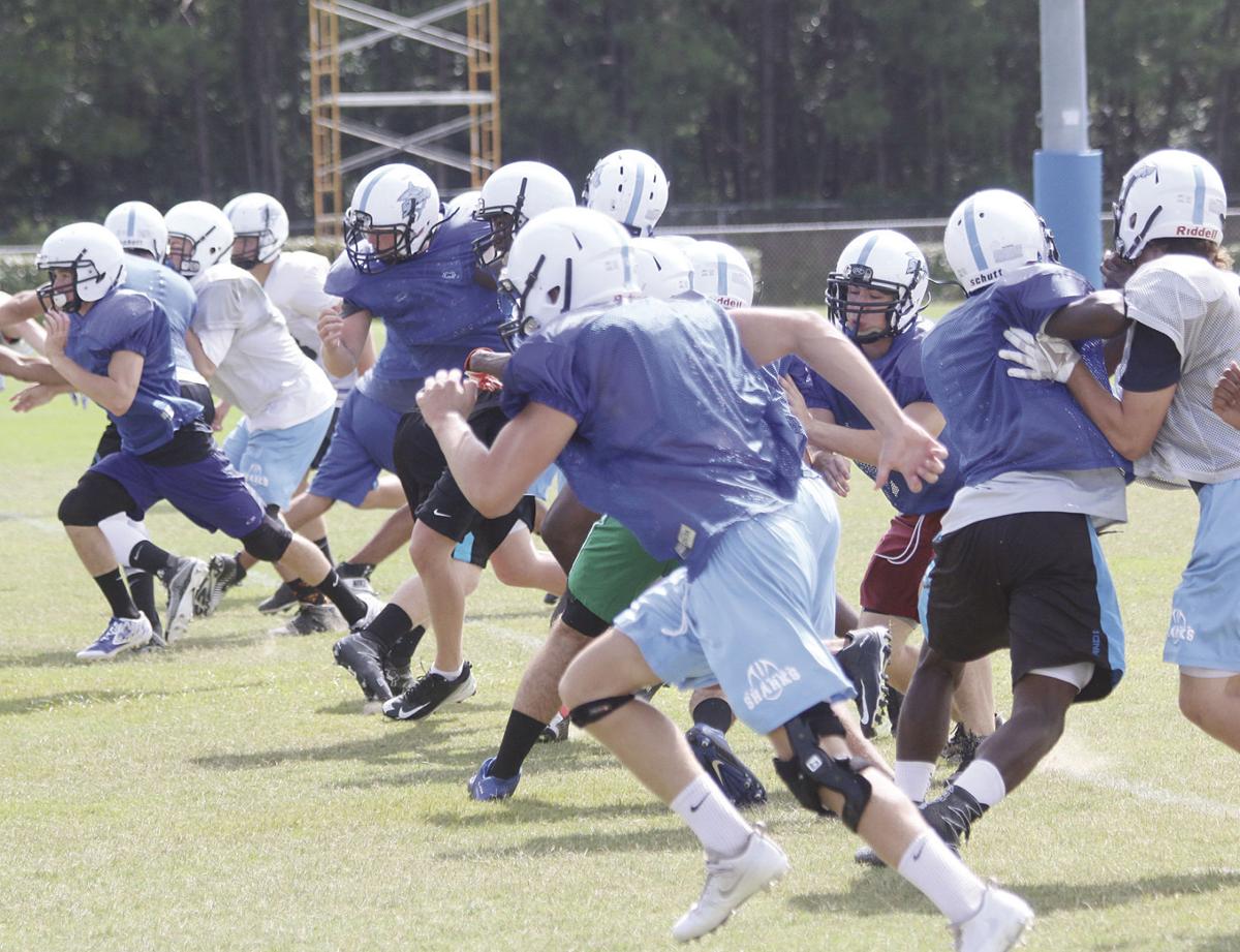 St. James Sharks hope taste of success lingers | Football | myhorrynews.com