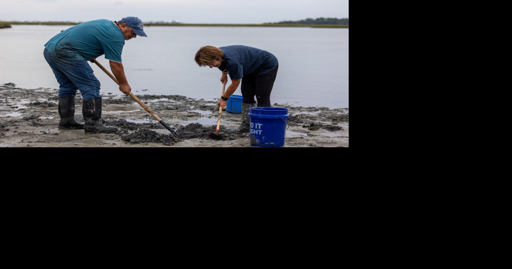Oyster and shellfish season begins in South Carolina | News ...