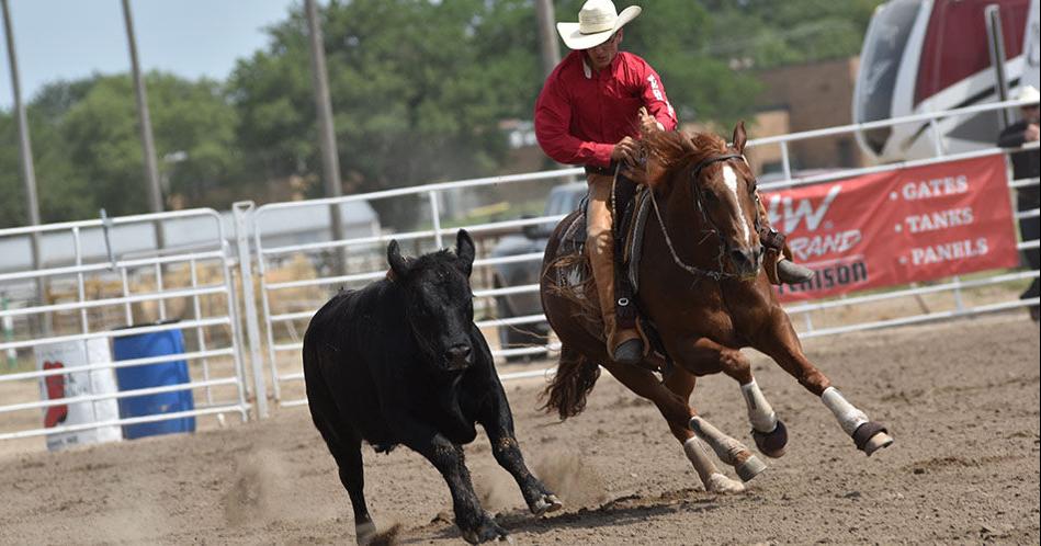 Olson Earns One Of The Top Scores At National Rodeo | News ...