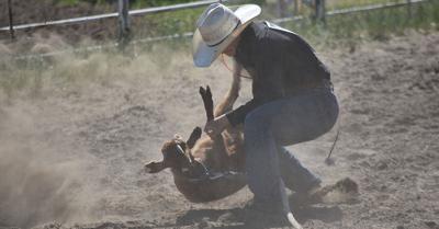 Stevens Leads Second Performance At Nationals | News | myknoxcountynews.com