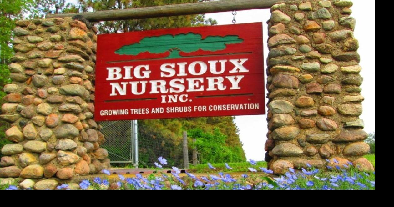 Big Sioux Nursery Watertown Celebrating 60 Years And Millions Of Trees ...