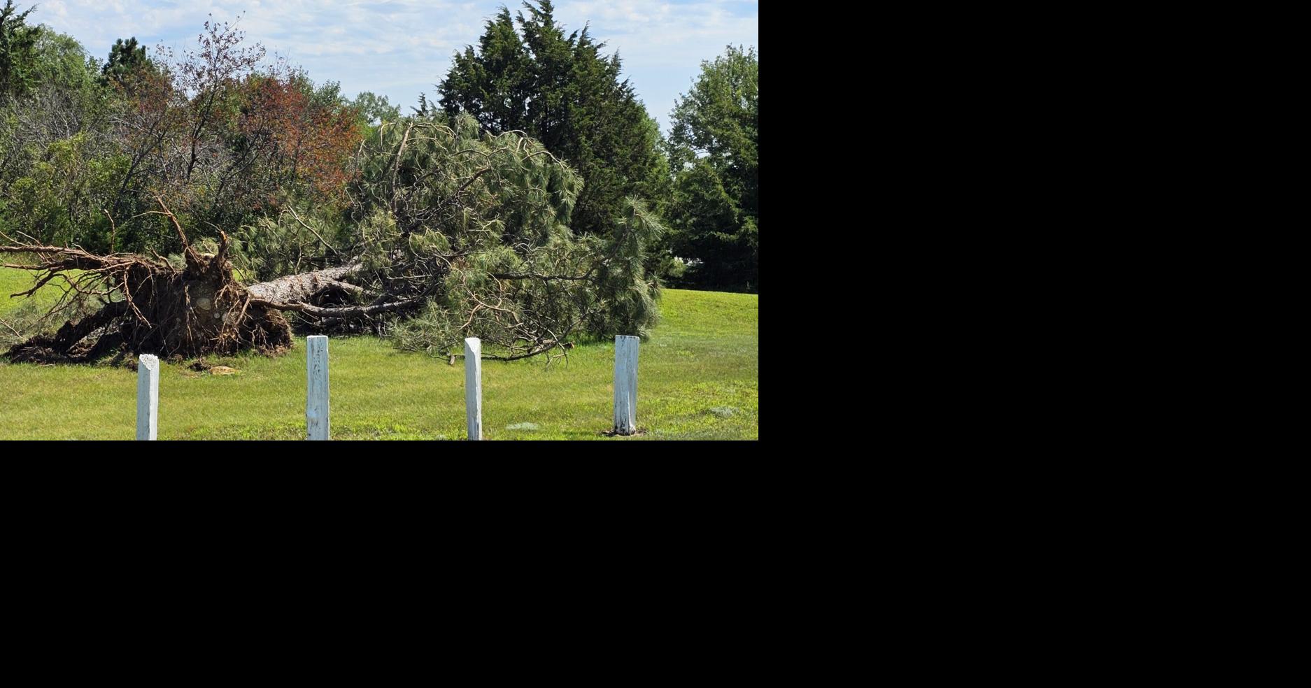 Watertown Area Residents Face Cleanup After 71 mph Winds Strike | Local ...