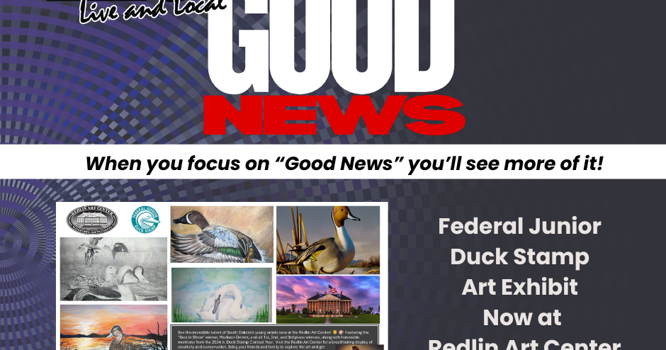 Federal Junior Duck Stamp Art Exhibit Now at Redlin Art Center | Local ...