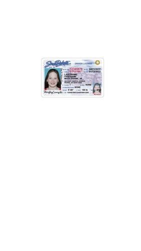 New Features are being added to SD Driver’s Licenses and ID Cards ...