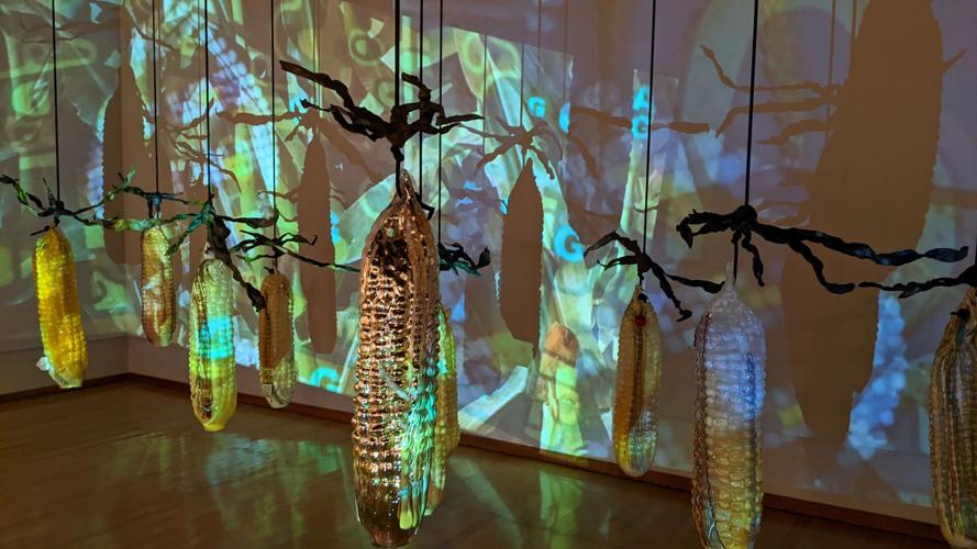 South Dakota Art Museum Celebrates Glass Corn Exhibit with Public ...