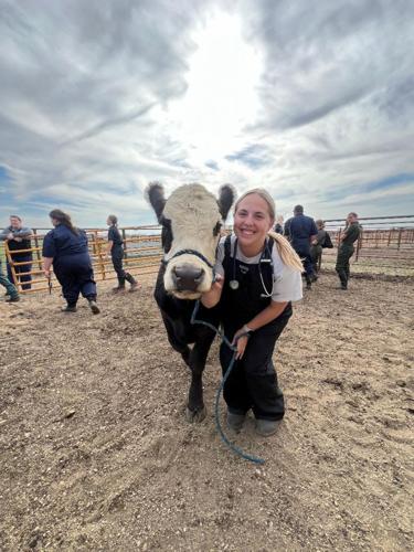 SDSU Veterinary Student Receives Graduate Scholarship | State News ...