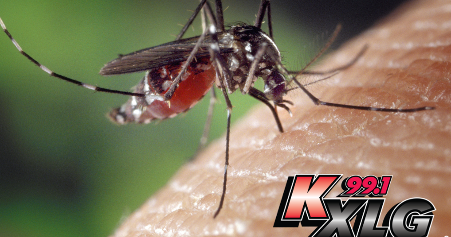 City of Watertown Announces Mosquito Spraying at Derby Downs Rodeo ...