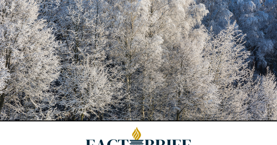 Fact brief: Can trees ‘explode’ during extreme cold weather? | State ...