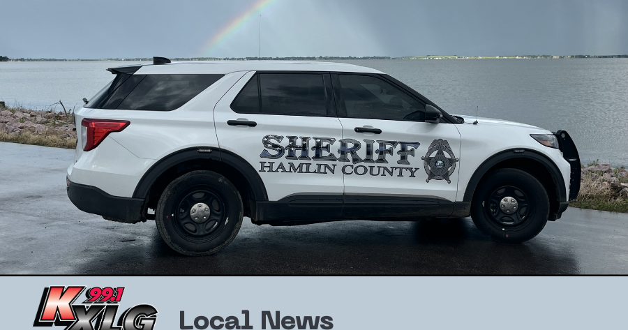 Hamlin County Sheriff's Office Apprehend Fleeing Felon | Local News ...