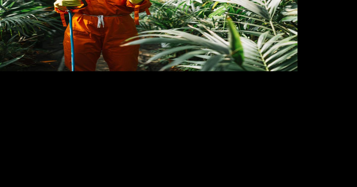 EPA announces actions to protect people from DCPA Herbicide, "Dacthal ...