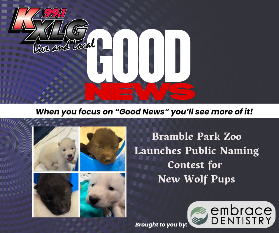 Bramble Park Zoo Launches Public Naming Contest for New Wolf Pups ...
