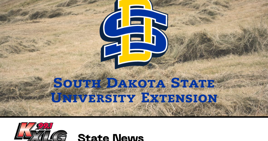 SDSU Extension Encourages Testing Forage Nitrate Levels | State News ...
