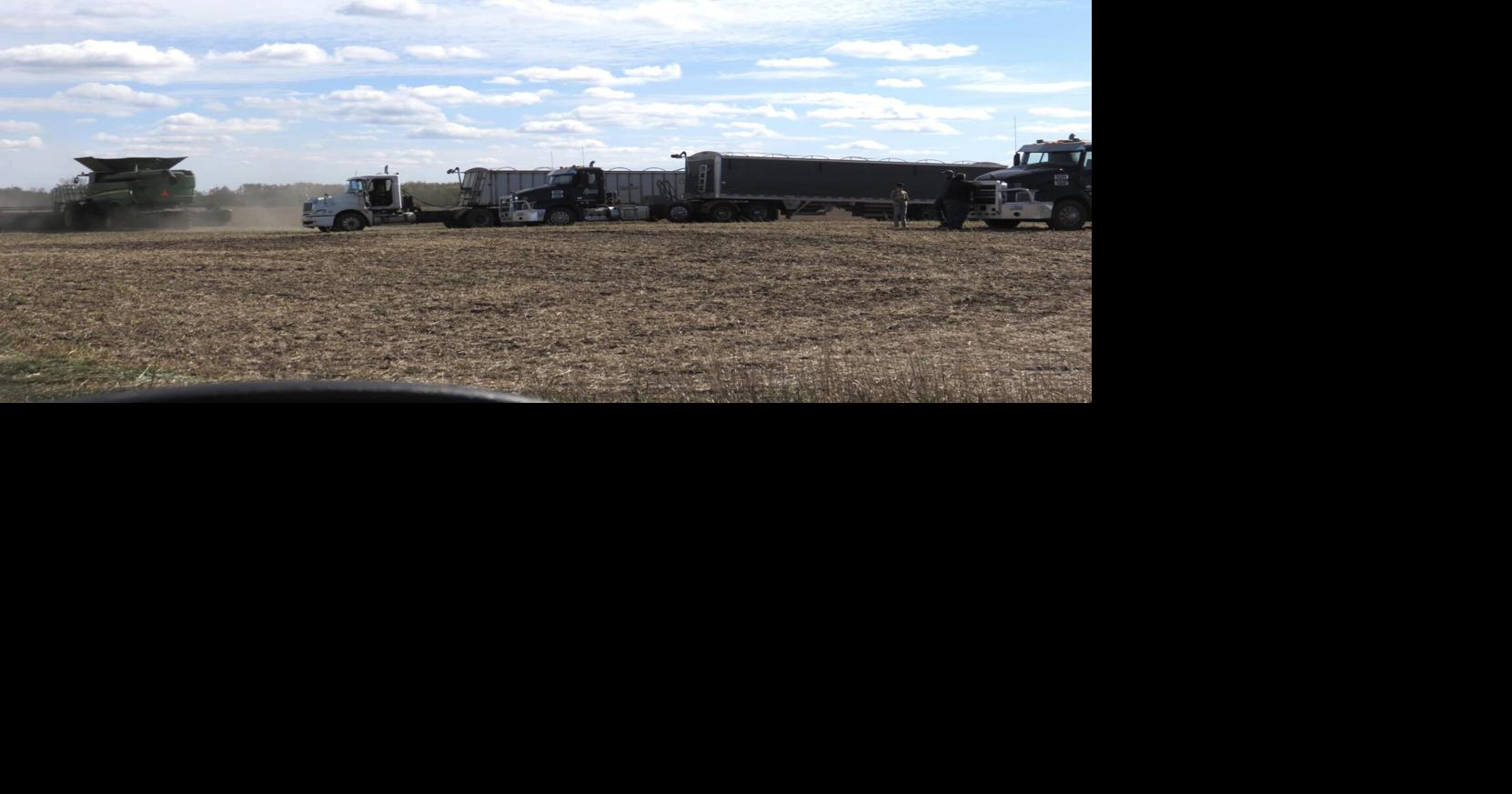 Good News - Revillo Community steps up big to help Sime family harvest ...