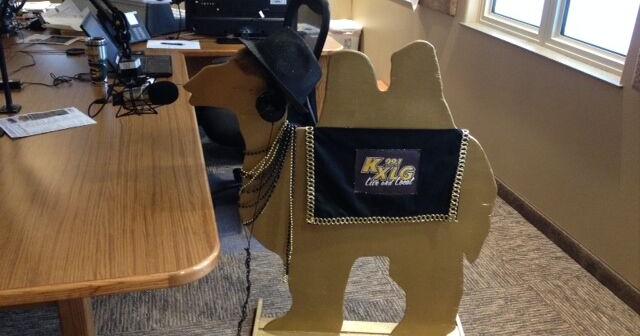 Camel races in Watertown for Boys and Girls Club. | Local News | mykxlg.com