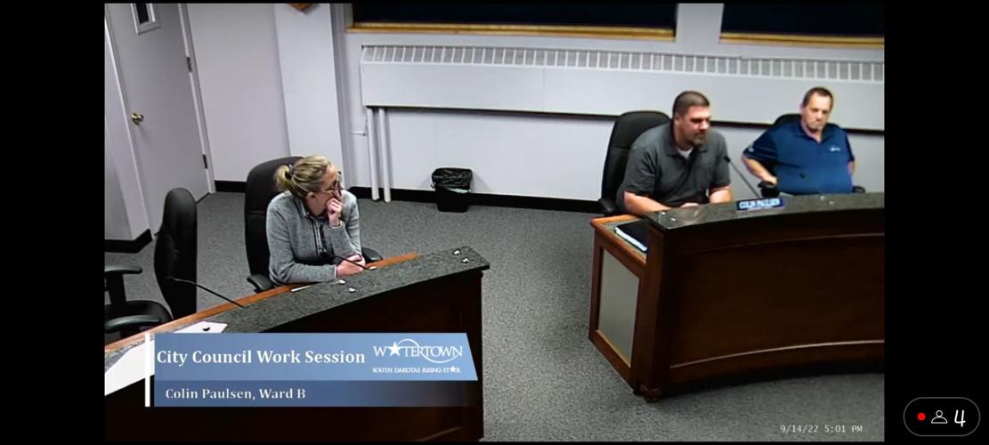Council "Work Session" Budget to Support Outside Organizations - Some ...