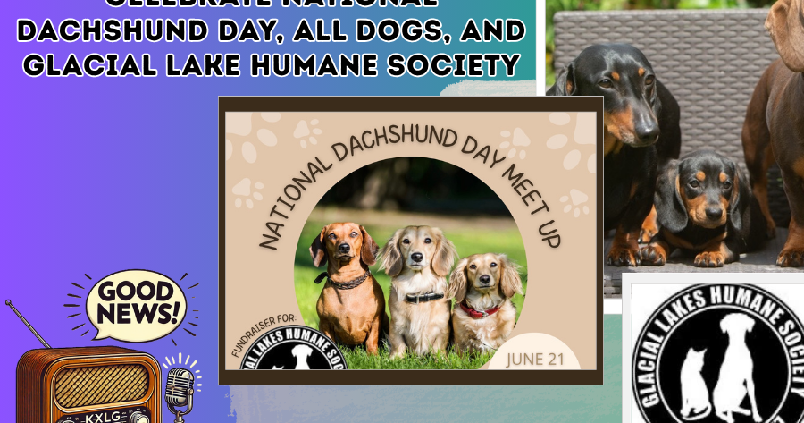 Good News: Unleash the Love: Celebrate National Dachshund Day, ALL Dogs ...